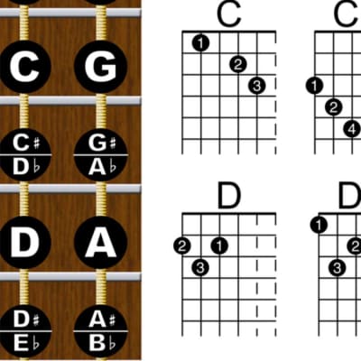 Laminated Left Handed Guitar Chord Chart Poster Fretboard | Reverb