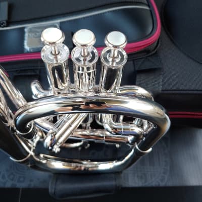 Besson BE-152 London Prodige Silver Plated Alto Horn | Reverb