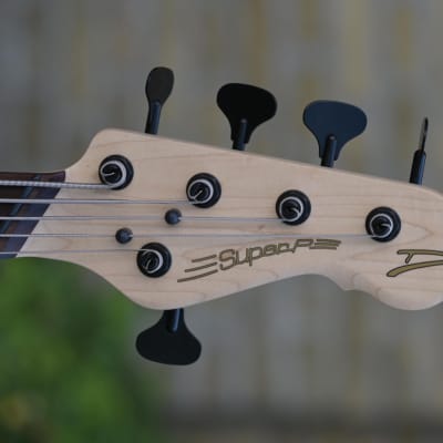 Dingwall SP1 5-String - Active Darkglass Upgraded - Dark | Reverb UK