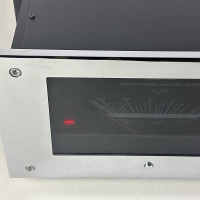 2x Restek Extent Mono Endstufe / Power Amplifier | Reverb
