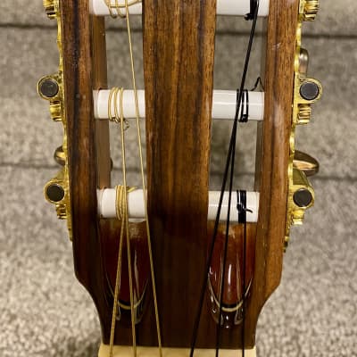 Manual Rodriguez E Rio Madagascar Classical Guitar | Reverb