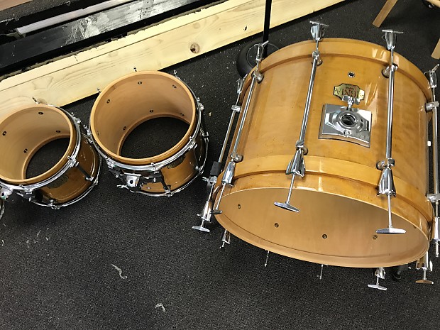 Premier Signia Maple 5 Piece Shell Kit Set (shells only) | Reverb