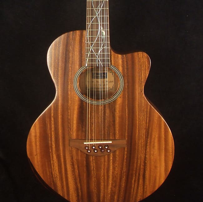 Bruce Wei Solid Acacia 8 String Tenor Guitar, Bevelled | Reverb UK