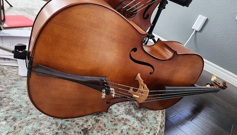 Yinfente Cello Advanced 2021 - Natural maple | Reverb