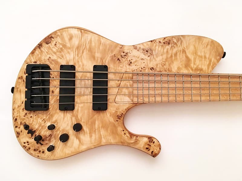 Ash Instruments SC5 Bolt-on Singlecut Price Drop Video | Reverb