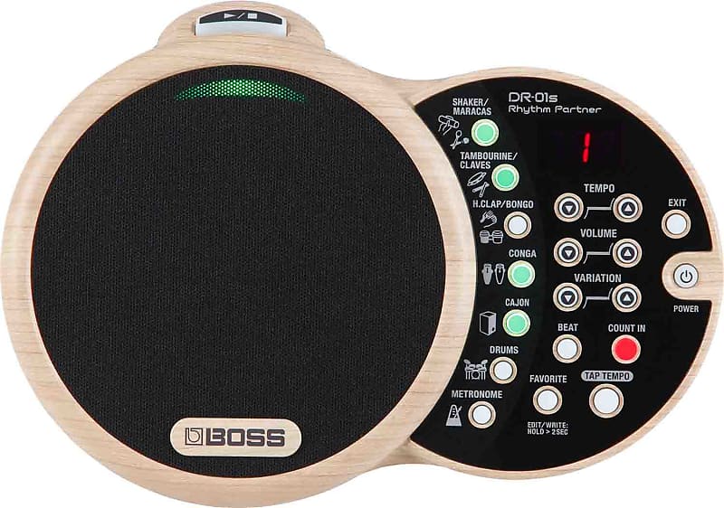Boss DR-01S Rhythm Partner Organic Grooves for Unplugged | Reverb
