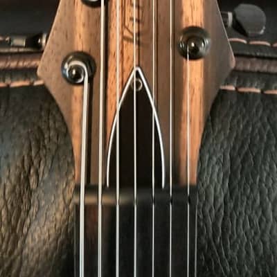 Kiesel Custom Shop SCB 7 String Baritone 2018 Translucent | Reverb