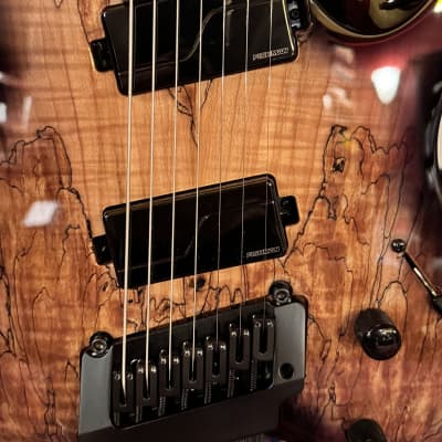 Kiesel Vader 2024 - 7 String Multiscale | Reverb