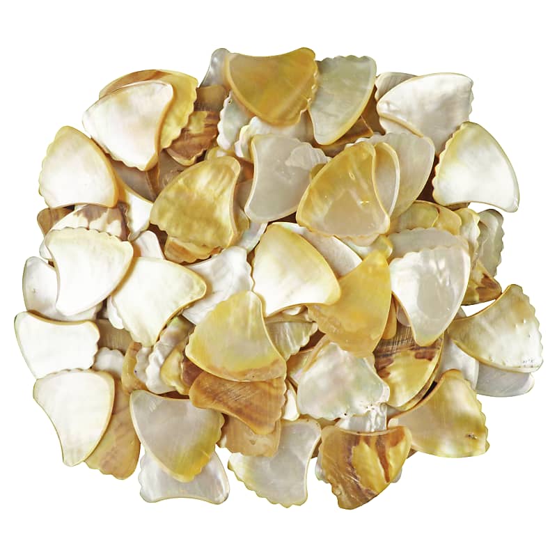 Gold Abalone Shell Guitar Pick - Shark Fin Shape - Handmade | Reverb