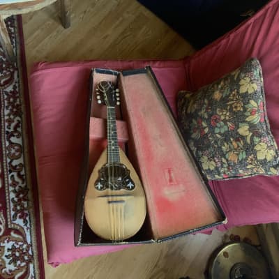 Mandolin Brothers Stridente 1905-1915 | Reverb