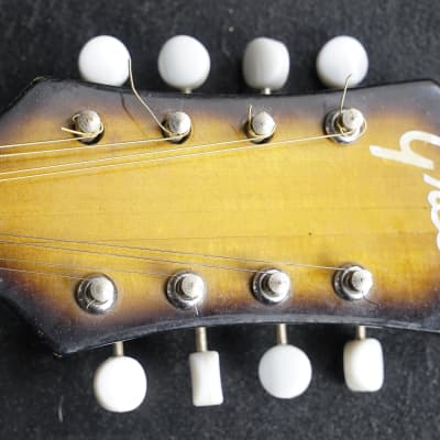 Greco Electric Mandolin, Super Rare | Reverb