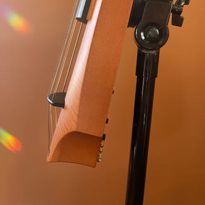 NS Design CR6 6-string Electric Cello 2021 Flame Maple | Reverb