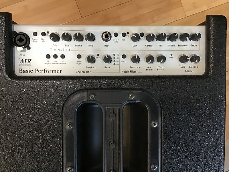 AER Basic Performer 2000s - Black | Reverb