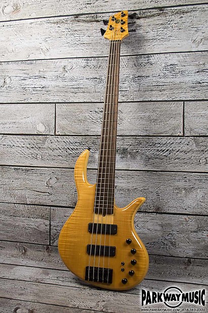 Cort Elrick JPS-5 - Josh Paul Signature | Reverb