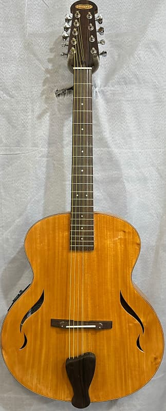 Blueberry Handmade Nine String Archtop Guitar Built to Order | Reverb