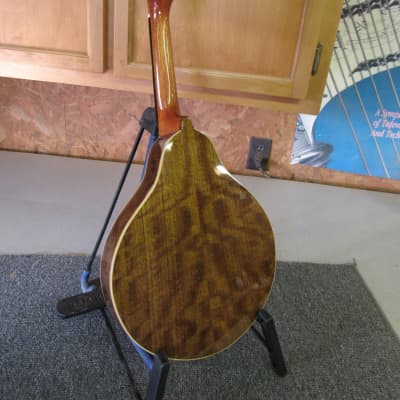 Beard Celtic Mandolin | Reverb