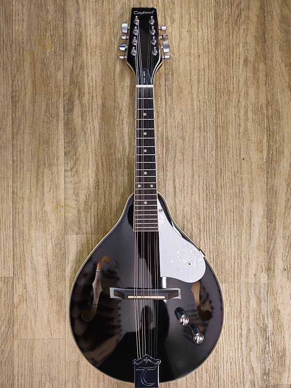 Tanglewood TWMT T BKPE Electro Acoustic Mandolin in Black | Reverb