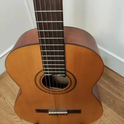 Aria AC-5 70s Natural | Reverb