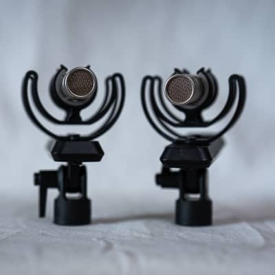 Cascade Fathead II Ribbon microphones with Lundahl | Reverb UK