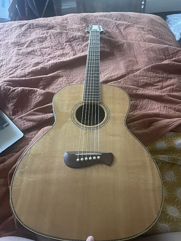 USA made Tacoma Pm-20e | Reverb