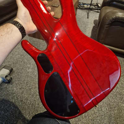USA Made Peavey TL6 6 String Bass. Excellent Condition | Reverb UK