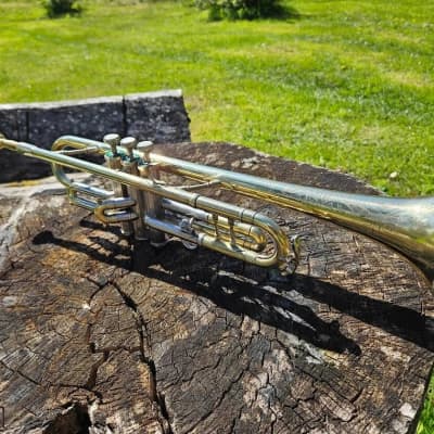 Italian beauty, Stell Melodi, Bb trumpet | Reverb UK