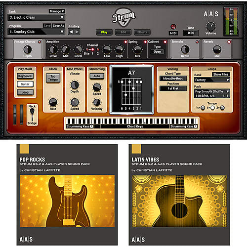 Applied Acoustics Systems Strum GS-2 Acoustic and Electric | Reverb