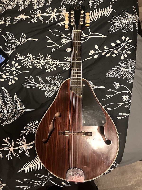 Kay 1970’s 8-String Mandolin | Reverb