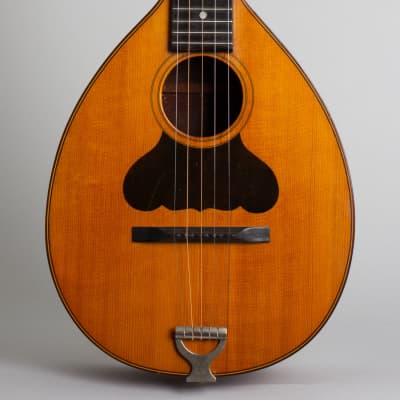 August Pollmann Royal Mandolin Banjo, c. 1890, brown | Reverb