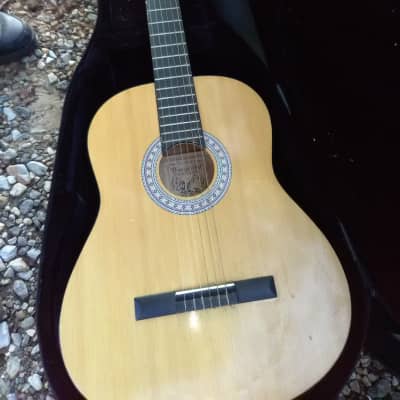 Burswood Acoustic Guitar | Reverb