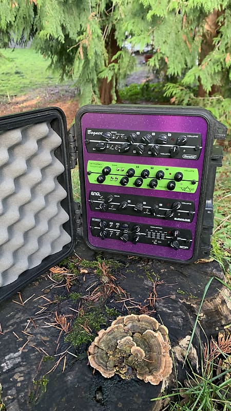 Burns Delta Model 4 Slot Case, Translucent Purple, Synergy | Reverb