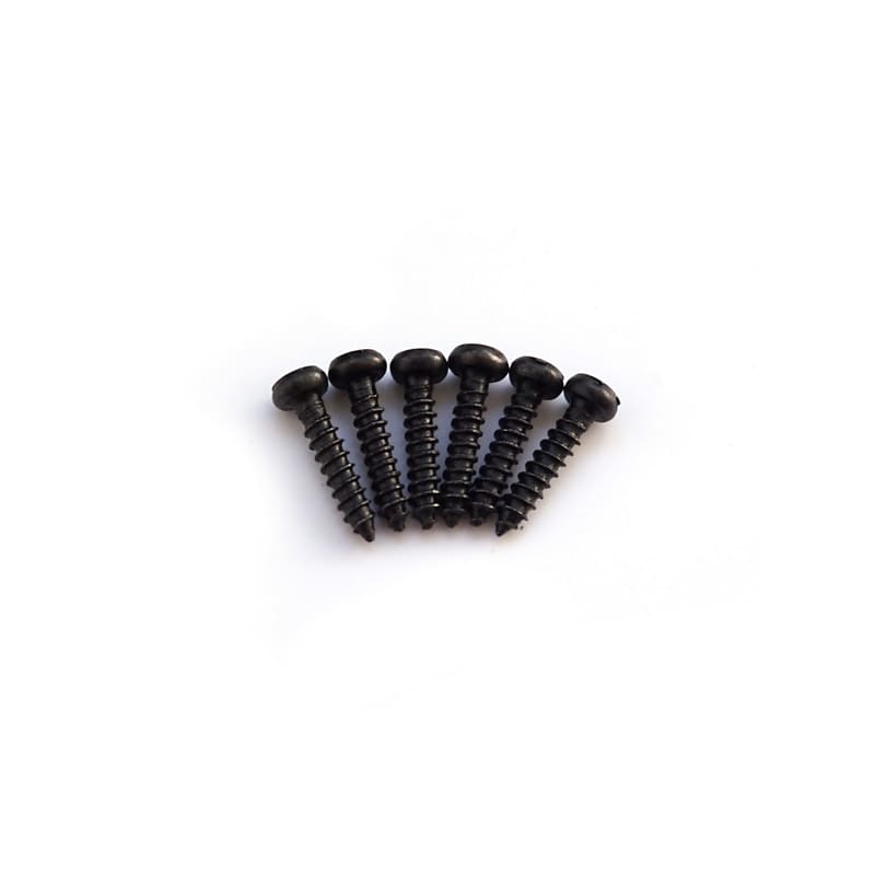 Machine Head / String Tree / Truss Rod Screws Black x2 | Reverb UK
