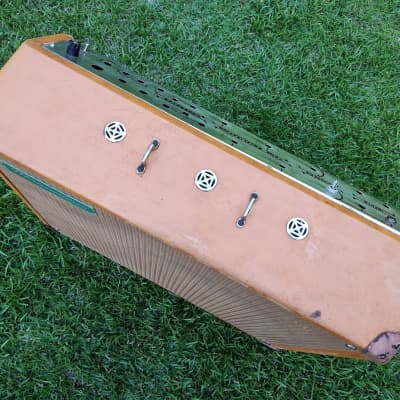 Vintage 1956 Magnatone Model 180 Triplex - Cabinet and | Reverb