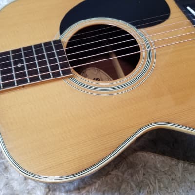 Morris F-20 in 1981 | Reverb