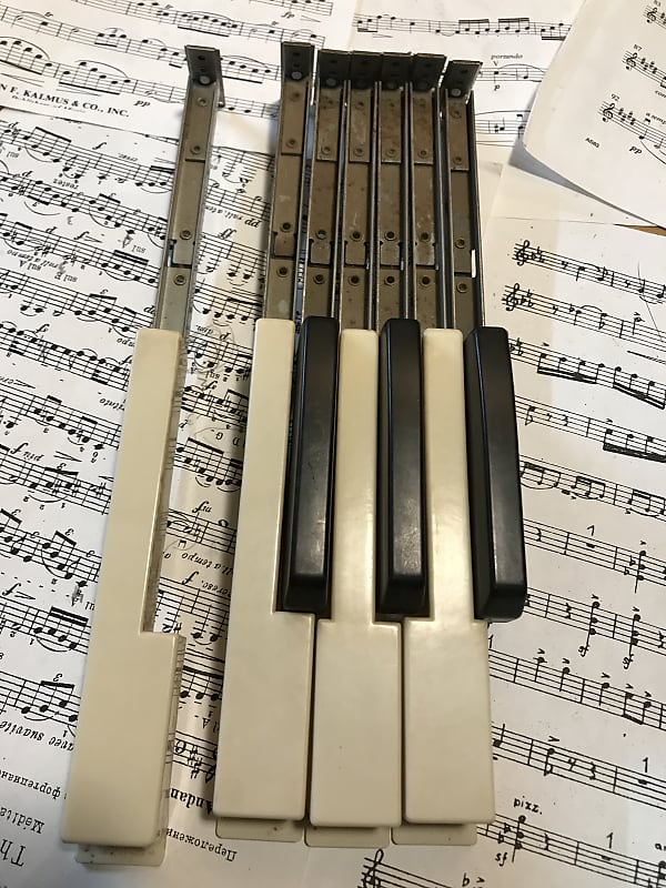 Hammond Organ Keys (B3, C3, M3) | Reverb