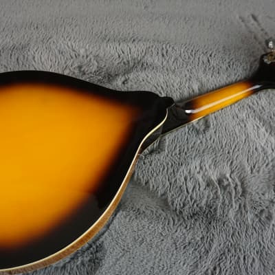 Rogue RM-100A Mandolin | Reverb