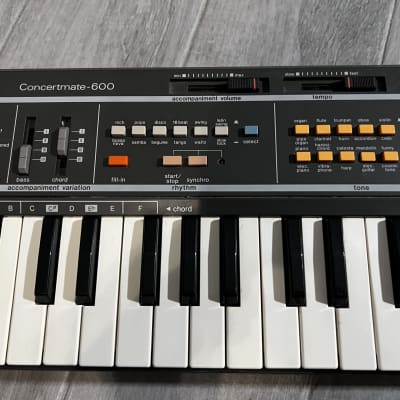 Realistic Concertmate-600 (Casio MT-100 Clone) | Reverb