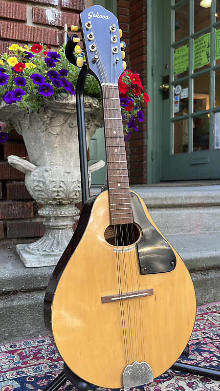 1970’s Sekova Mandolin (Vintage, Pro Setup)~See Video~ | Reverb