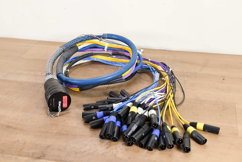 Whirlwind W3IRP to 40-Channel Male XLR Snake - 10 ft (church | Reverb