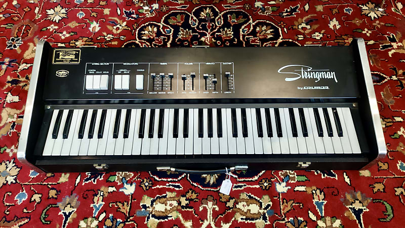 Crumar Stringman (Serviced / Warranty) | Reverb