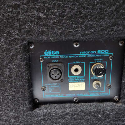 YORKVILLE ELITE MICRON 600 600 Watts 4 Ohms , 2x 10-inch + | Reverb