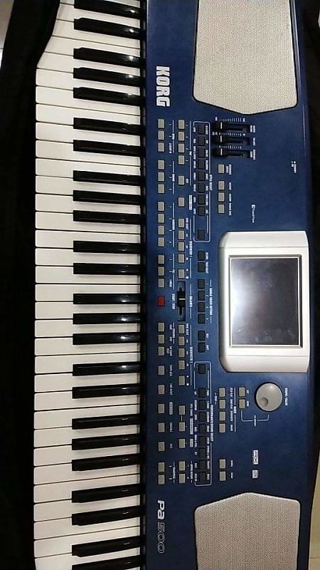 Korg Pa 500 oriental 2010 | Reverb