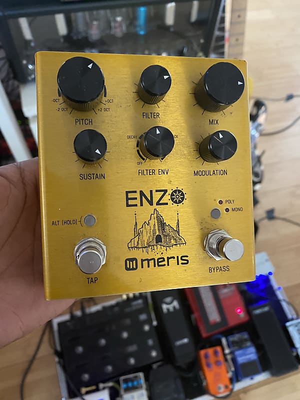 Meris Enzo | Reverb UK