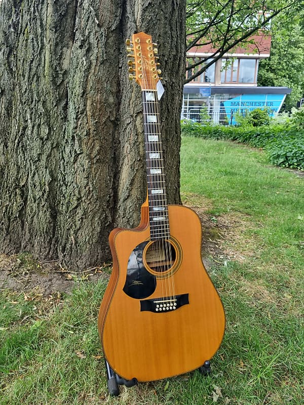 Maton Messiah Left Handed Acoustic 12 String | Reverb