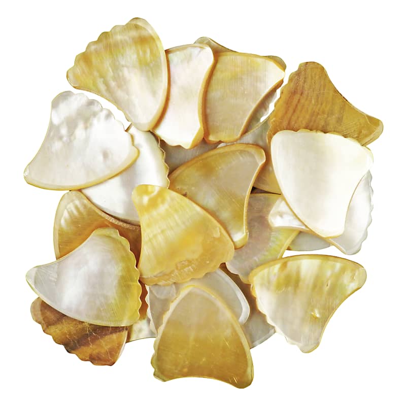 Gold Abalone Shell Guitar Pick - Shark Fin Shape - Handmade | Reverb