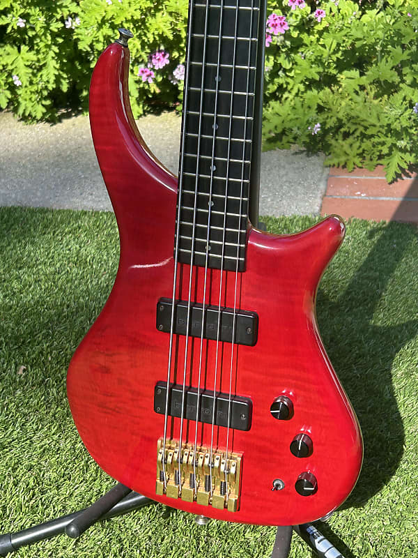 Pedulla Thunderbass 5 string | Reverb