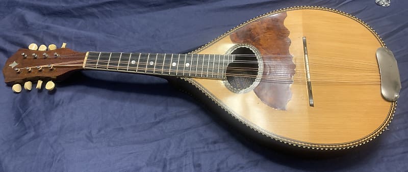 Supertone Fancy Brazilian Rosewood Mandolin 1920s - Natural | Reverb
