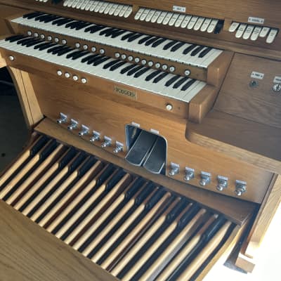 Rogers Alexandria Organ w/ 32-Note Negative Concave | Reverb
