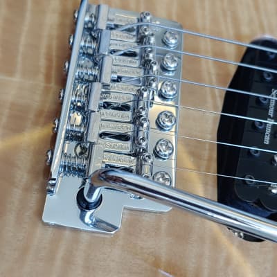 Sawtooth Natural Series 2022 - Trans Moss Burst | Reverb