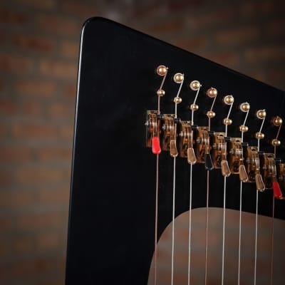 Salvi Delta - Ebony | Reverb